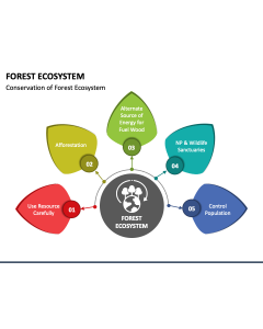 Eco PowerPoint Templates and Google Slides Themes