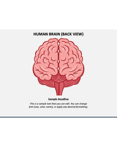 Brain PowerPoint Templates and Google Slides Themes
