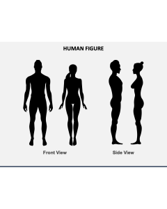 Page 10 - People and Objects Templates for PowerPoint and Google Slides ...