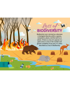 Biodiversity PowerPoint and Google Slides Template - PPT Slides
