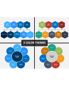 Information Management PowerPoint and Google Slides Template - PPT Slides