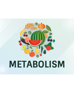 Page 3 - Professional Google Slides Templates - Google Slides Themes ...