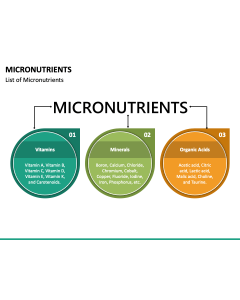 Nutrition PowerPoint Templates and Google Slides Themes - Page 2/