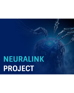 Project PowerPoint Templates and Google Slides Themes