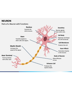 Page 444 - Professional Google Slides Templates - Google Slides Themes ...