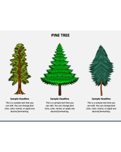 Page 2 - Tree Diagrams Templates for PowerPoint and Google Slides ...