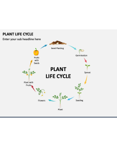 Life Cycle PowerPoint Templates and Google Slides Themes