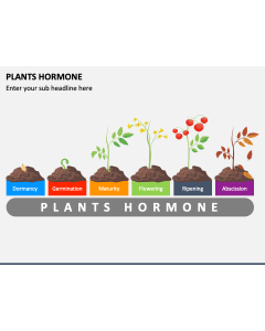 Peptide Hormones PowerPoint and Google Slides Template - PPT Slides