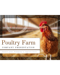 Free - Cow Presentation for PowerPoint and Google Slides - PPT Slides