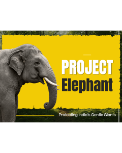 Project PowerPoint Templates and Google Slides Themes