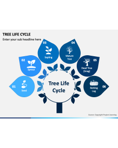 Tree Diagrams Templates for PowerPoint and Google Slides | SketchBubble