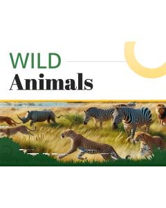 Free - Butterfly Presentation for PowerPoint and Google Slides - PPT Slides