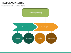 Tissue Engineering PowerPoint Template | SketchBubble