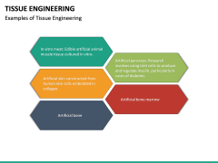 Tissue Engineering PowerPoint Template | SketchBubble