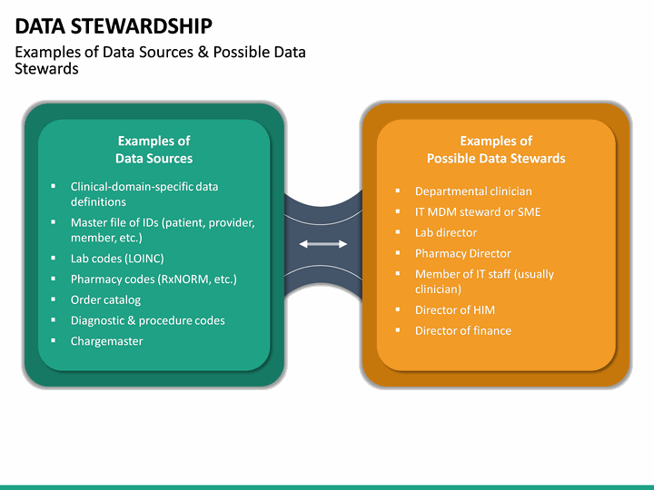 Data Stewardship PowerPoint Template | SketchBubble