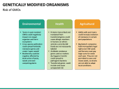 Genetically Modified Organisms (GMO) PowerPoint Template | SketchBubble