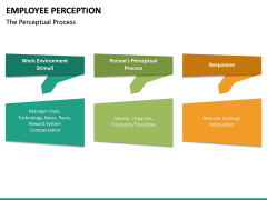 Employee Perception PowerPoint Template | SketchBubble