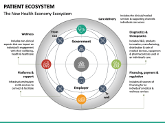 Patient Ecosystem PowerPoint Template | SketchBubble