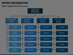 Matrix Organization PowerPoint and Google Slides Template - PPT Slides