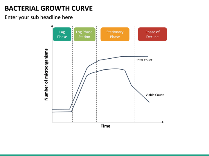Bacterial Growth Curve PowerPoint Template | SketchBubble