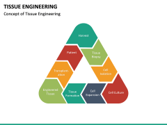 Tissue Engineering PowerPoint Template | SketchBubble