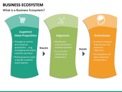 Business Ecosystem PowerPoint Template | SketchBubble