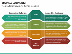 Business Ecosystem PowerPoint Template | SketchBubble