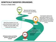 Genetically Modified Organisms (GMO) PowerPoint Template | SketchBubble