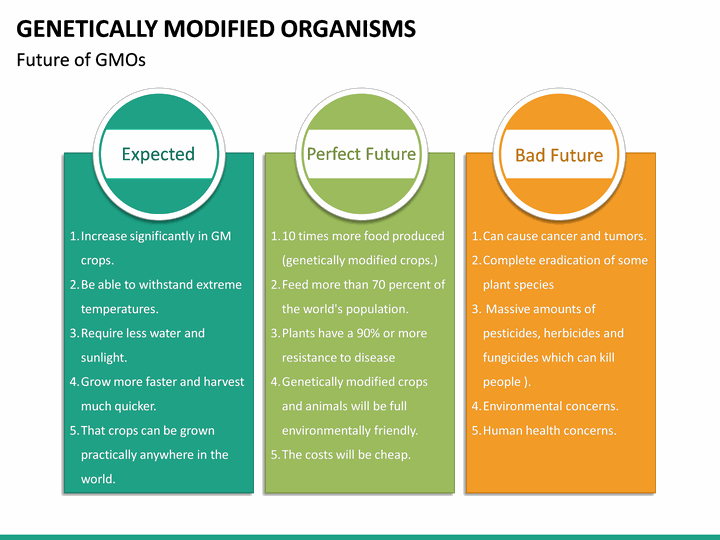 Genetically Modified Organisms (GMO) PowerPoint Template | SketchBubble