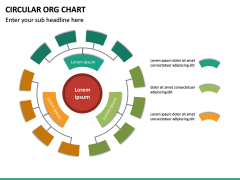 Circular ORG Chart PowerPoint Template | SketchBubble