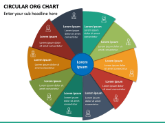 Circular ORG Chart PowerPoint Template | SketchBubble