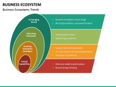 Business Ecosystem PowerPoint Template | SketchBubble