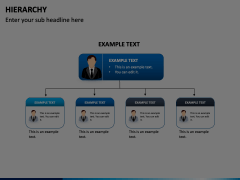 Hierarchy Diagram for PowerPoint and Google Slides - PPT Slides