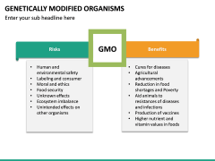 Genetically Modified Organisms (GMO) PowerPoint Template | SketchBubble