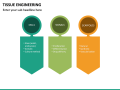 Tissue Engineering PowerPoint Template | SketchBubble