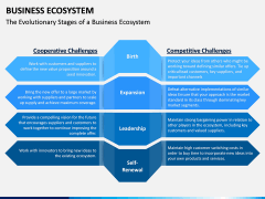 Business Ecosystem Diagram for PowerPoint and Google Slides - PPT Slides