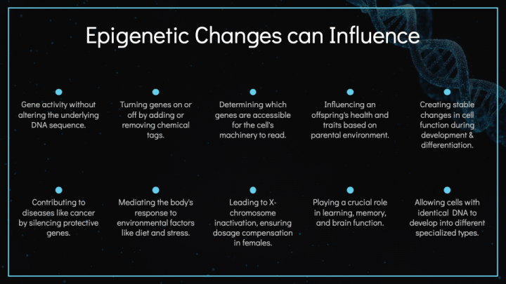 Epigenetics PowerPoint and Google Slides Template - PPT Slides