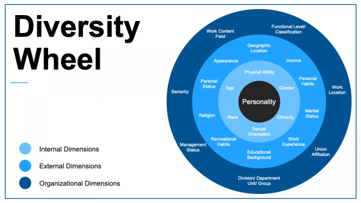 Diversity Wheel PowerPoint and Google Slides Template - PPT Slides