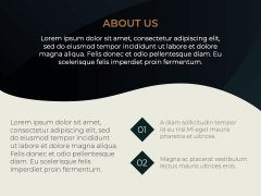 Seed Funding Pitch for PowerPoint and Google Slides