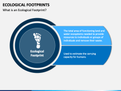Ecological Footprints PowerPoint and Google Slides Template - PPT Slides