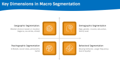 Macro Segmentation PowerPoint and Google Slides Template - PPT Slides