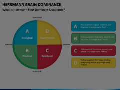 Herrmann Brain Dominance PowerPoint and Google Slides Template - PPT Slides