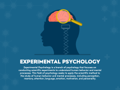 Experimental Psychology PowerPoint and Google Slides Template - PPT Slides