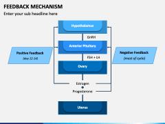 Feedback Mechanism PowerPoint and Google Slides Template - PPT Slides