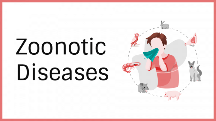 Zoonotic Diseases PowerPoint and Google Slides Template - PPT Slides