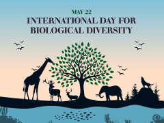 Free - International Day for Biological Diversity PowerPoint Template and Google Slides Theme