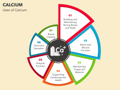 Calcium PowerPoint and Google Slides Template - PPT Slides