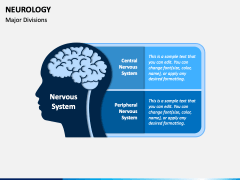 Neurology PowerPoint and Google Slides Template - PPT Slides