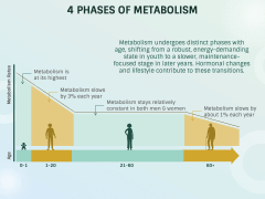 Metabolism PowerPoint and Google Slides Template - PPT Slides