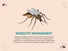 Mosquito Management PowerPoint and Google Slides Template - PPT Slides